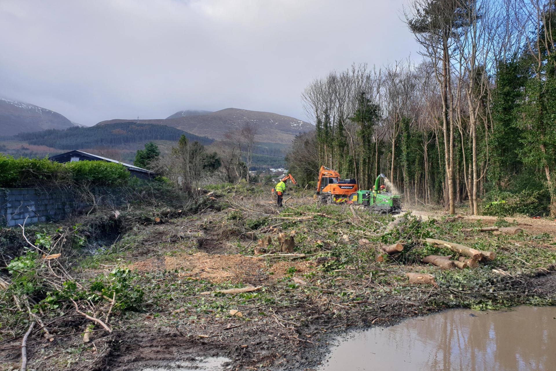 Shimna River, Newcastle Flood Alleviation Scheme - Tree Clearance ...